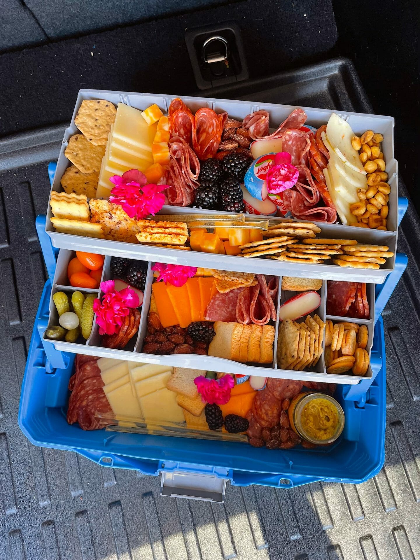 Snacks On The Go! 18 Tackle Box Charcuterie Ideas - ICA