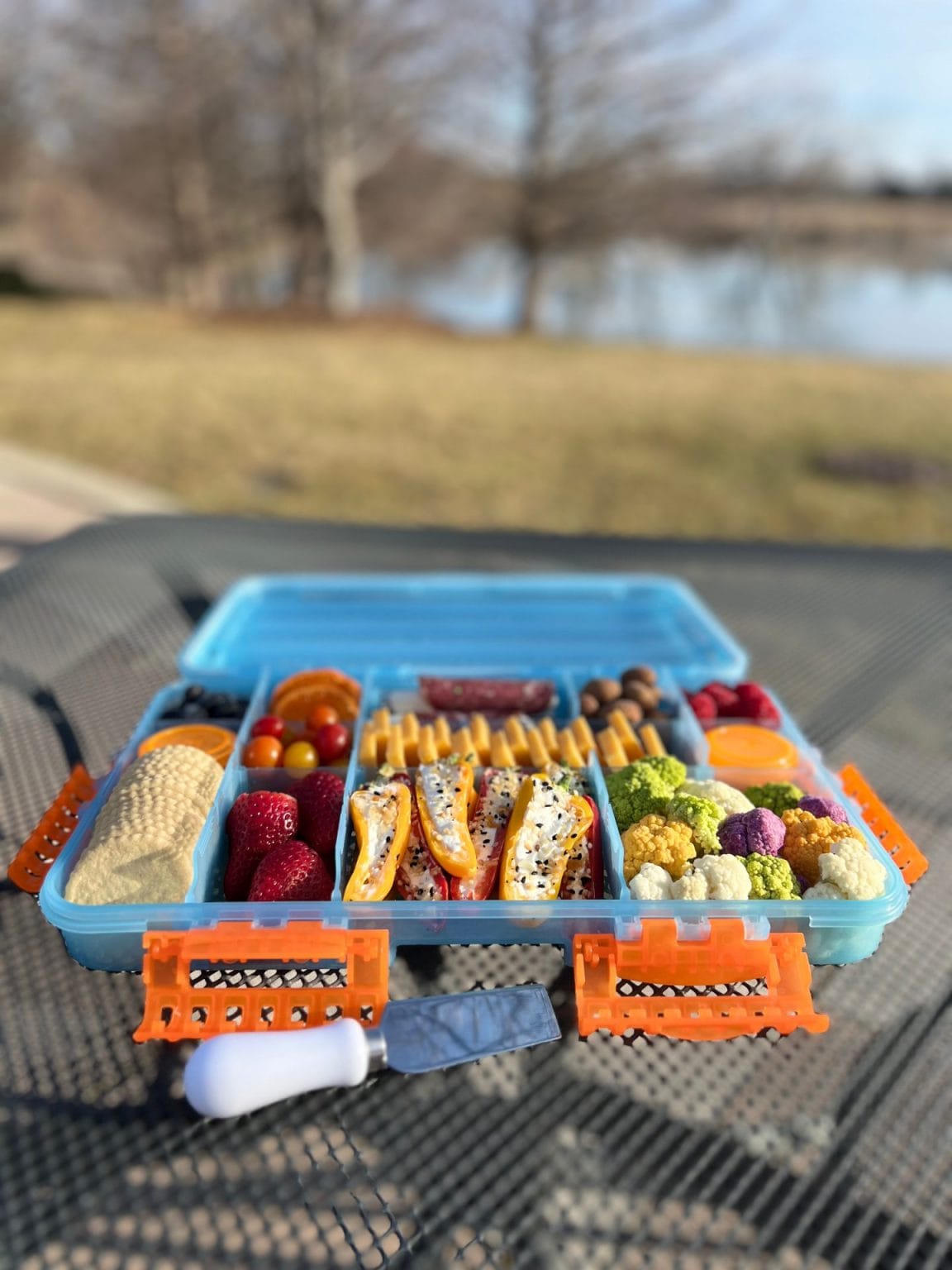 Snacks On The Go! Tackle Box Charcuterie Ideas - ICA